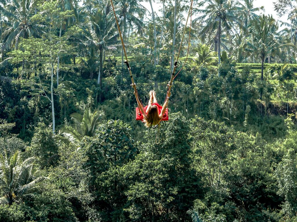 Ubud Highlights Day Tour