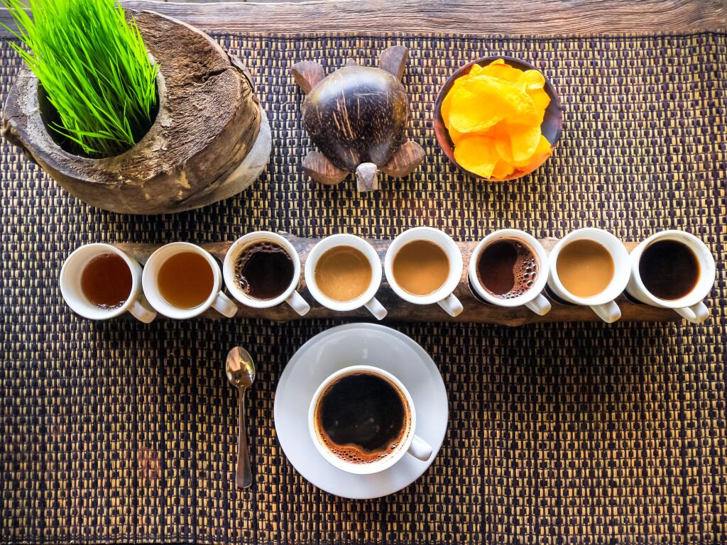 Ubud Rice Terrace Tour | Best Day Tour for Your Bali Holiday