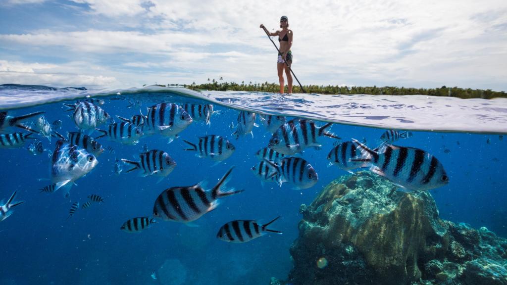 Fancy Owning Your Own Fijian Island? Fancy Owning Your Own Fijian Island?