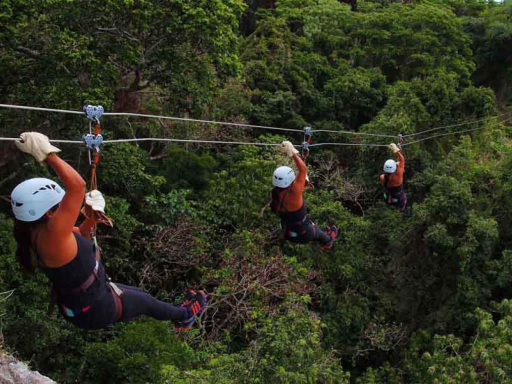 Zip Line Tour | Best Momi Bay Tour For Your Fiji Holidays
