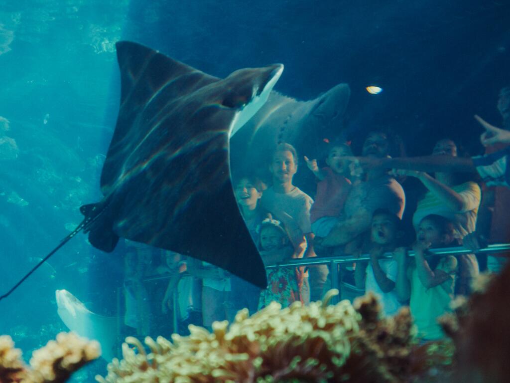 Sea World Water Park