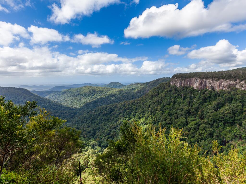 Springbrook National Park Tours | Gold Coast Waterfalls Tour