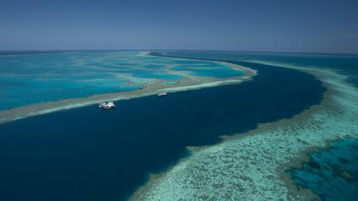 A Beginners Guide To The Great Barrier Reef