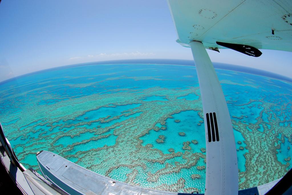 Top Diving Reefs on the Great Barrier Reef