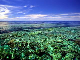 Top Diving Reefs on the Great Barrier Reef