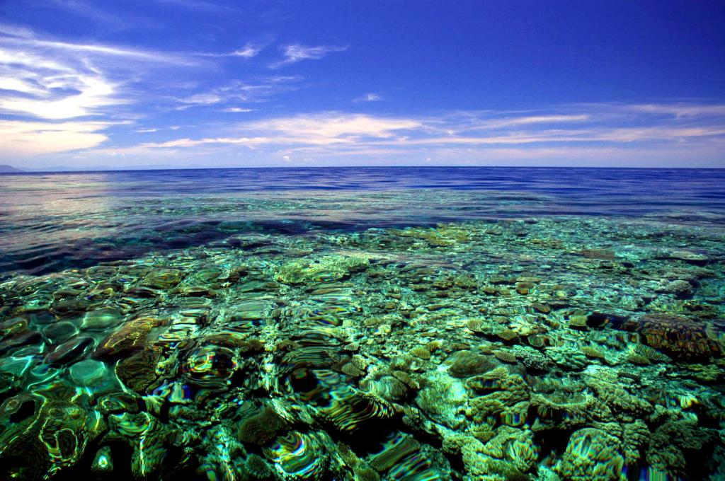 Top Diving Reefs on the Great Barrier Reef