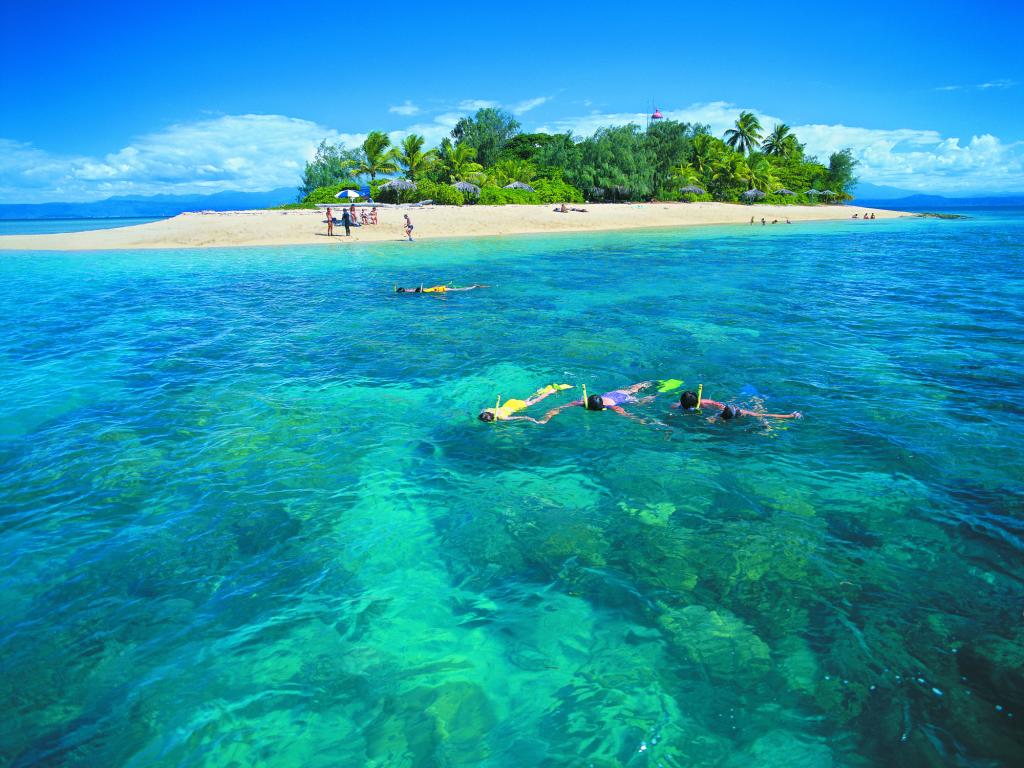 Wavedancer Low Isles Cruise | Great Barrier Reef Tours