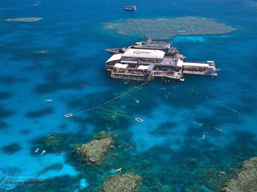 Quicksilver Outer Reef Tour| Great Barrier Reef Cruise