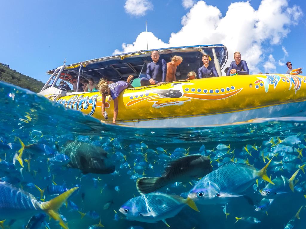 Ocean Rafting Adventure | Best Tours for Whitsunday Holidays