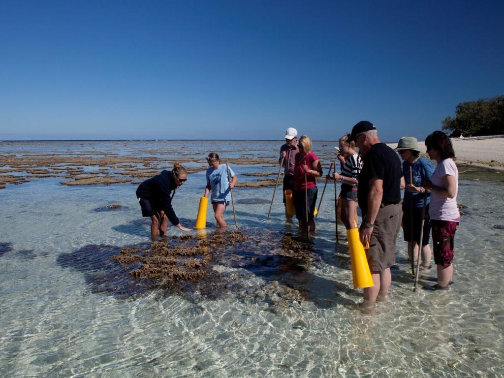 Lady Elliot Island Day Tour