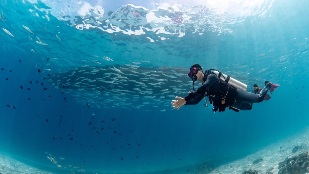 Phuket Diving | Best Dive Sites in Phuket