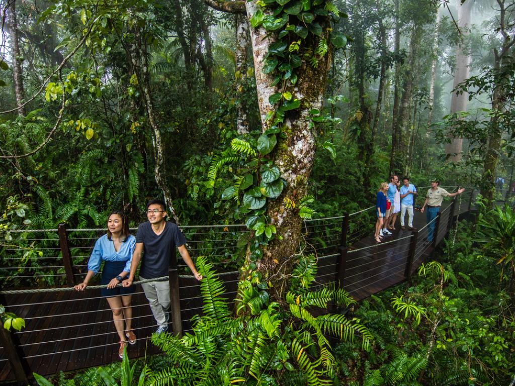 Skyrail Rainforest Cableway Experience, North Queensland Tour